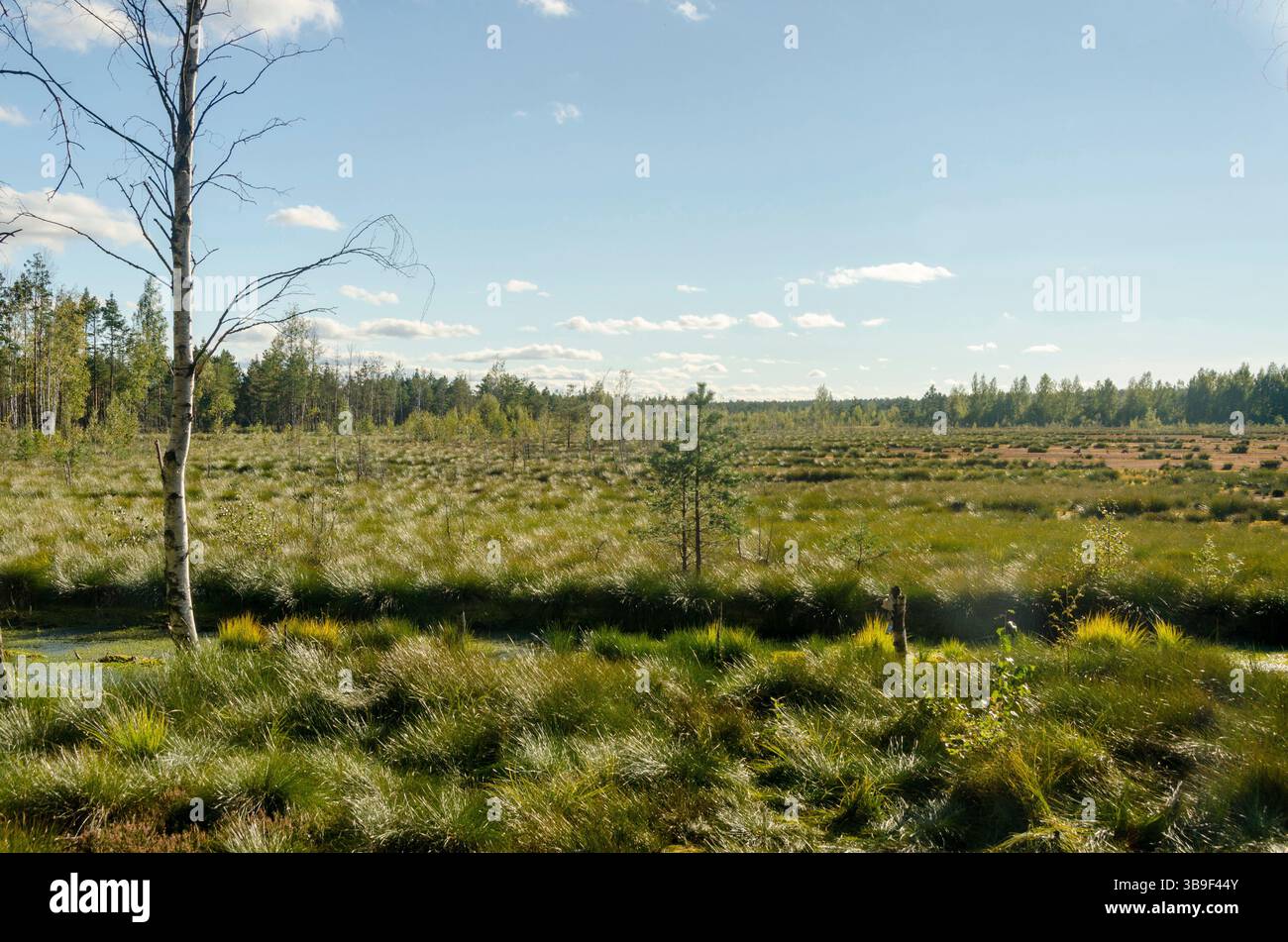 Large flat area hi-res stock photography and images - Alamy