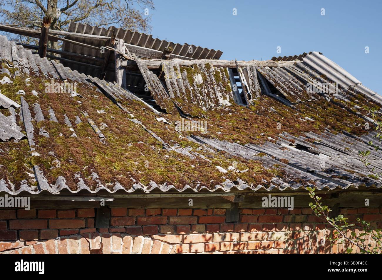 Old and very dangerous asbestos roof. Asbestos dust in the environment ...