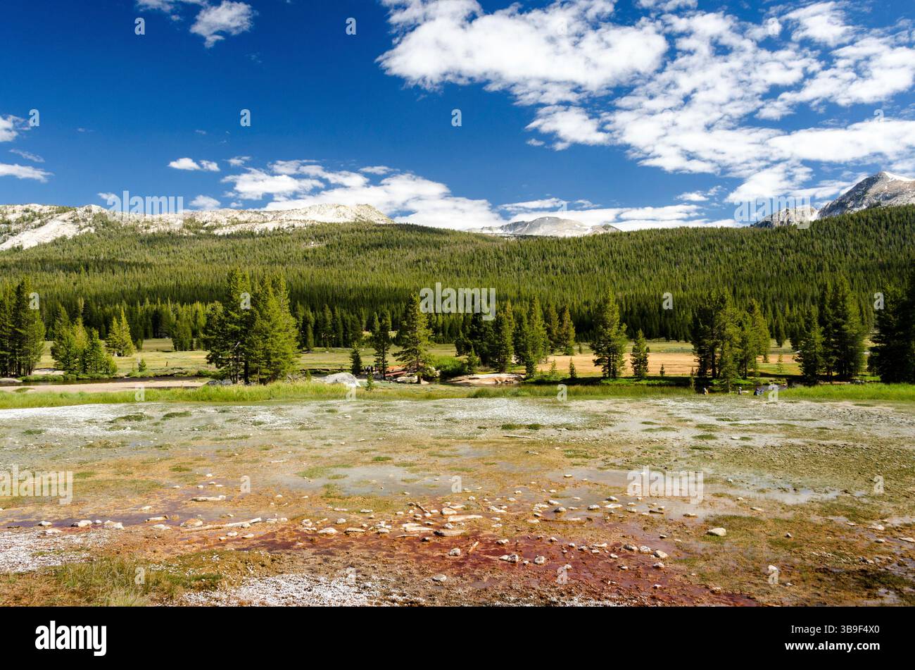 Mineral springs at Tuolumne Meadows (Soda Spring Stock Photo - Alamy