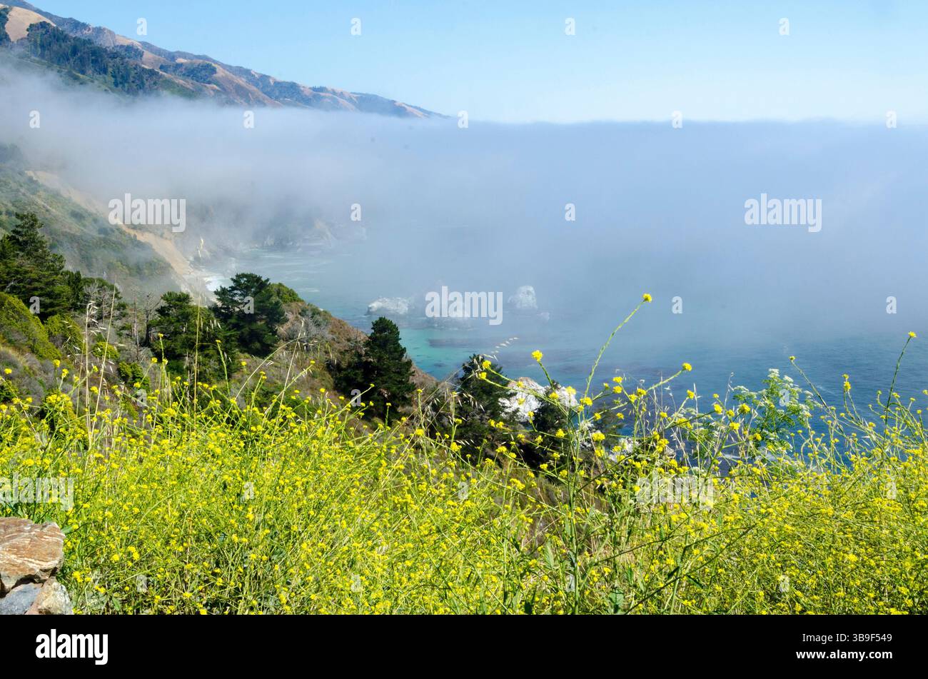 Summer fog from the Pacific Ocean Stock Photo - Alamy