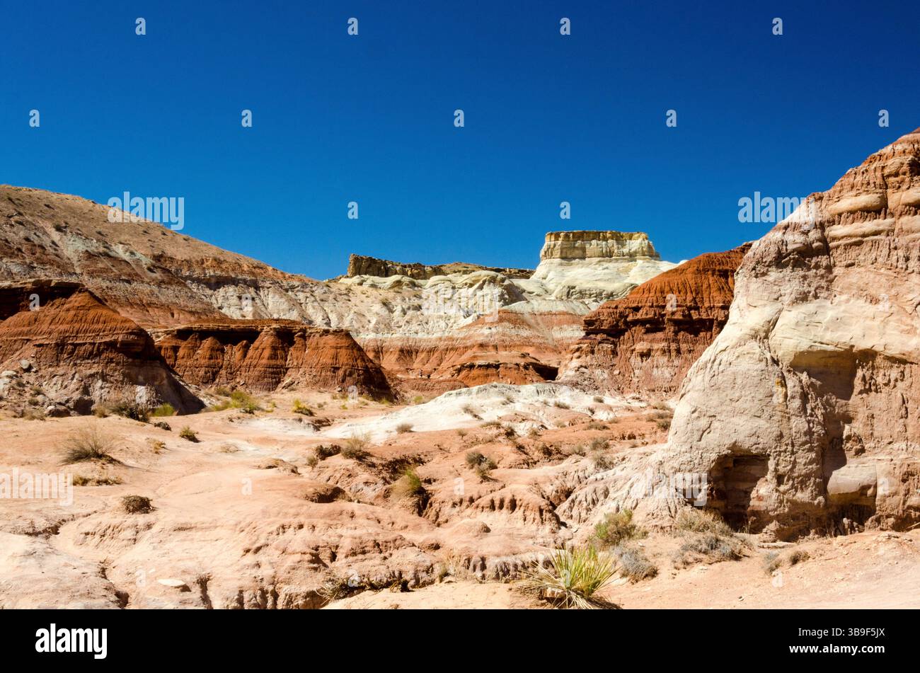 Rock formations of the Toadstool Hoodoos Stock Photo - Alamy