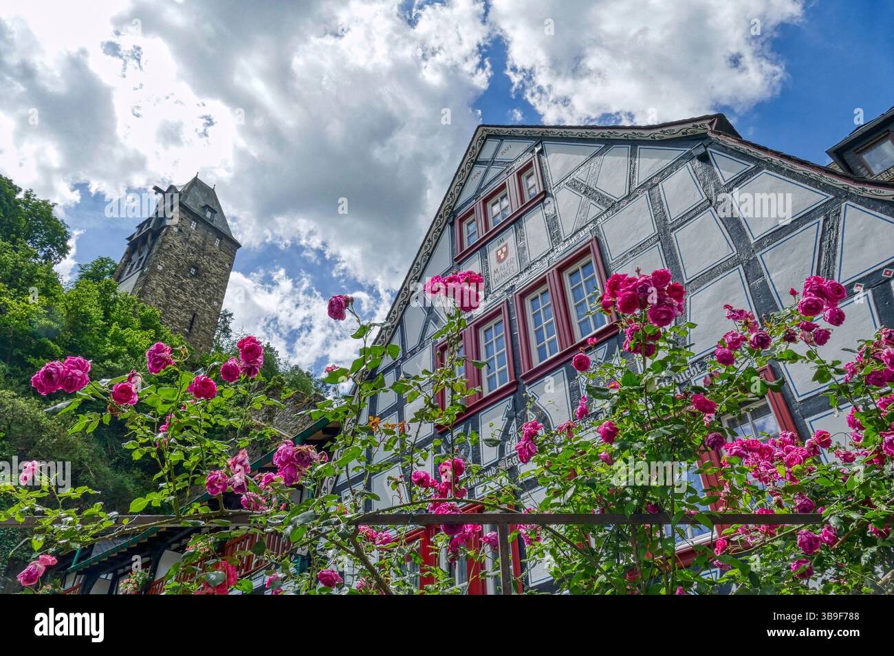Historic half-timbered house and tower in Bacharach Stock Photo - Alamy