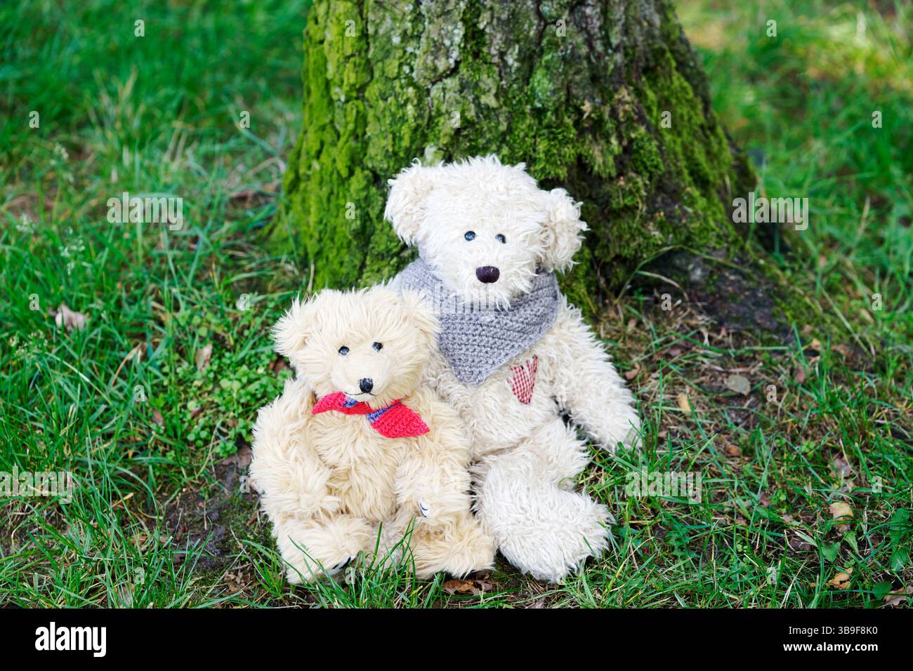Cuddly bears hi-res stock photography and images - Alamy
