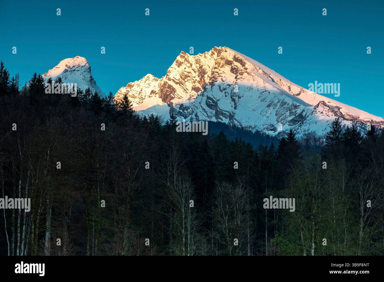 Alpenglow at the snow-covered Watzmann, Berchtesgaden, Germany Stock ...