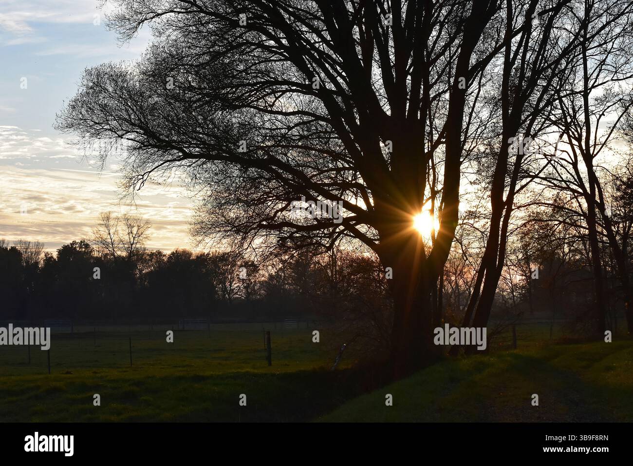 Last rays of sun over the Amperau, Moosburg an der Isar, Upper Bavaria ...