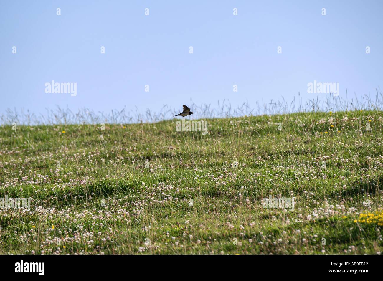 Dyke crest hi-res stock photography and images - Alamy