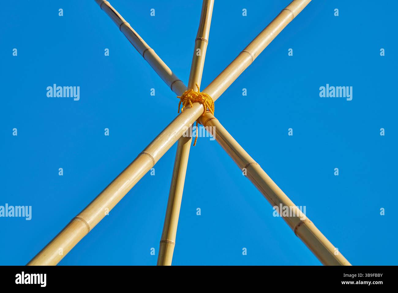 Poles building power plant hi-res stock photography and images - Alamy