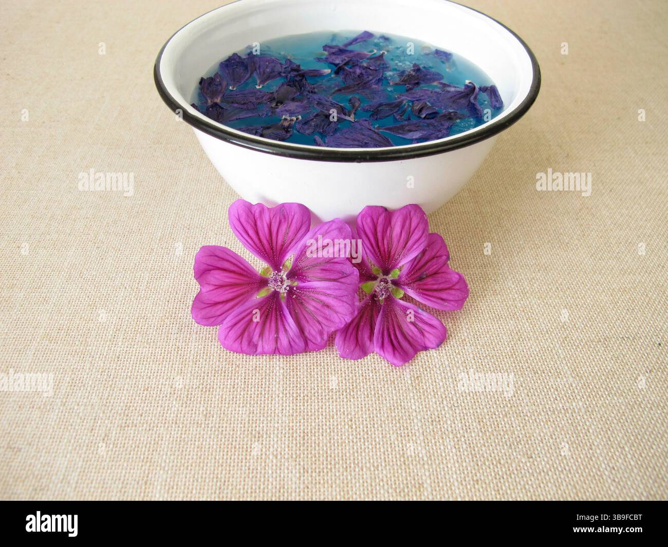 Blue dye bath from dried mallow blossoms hi-res stock photography and ...