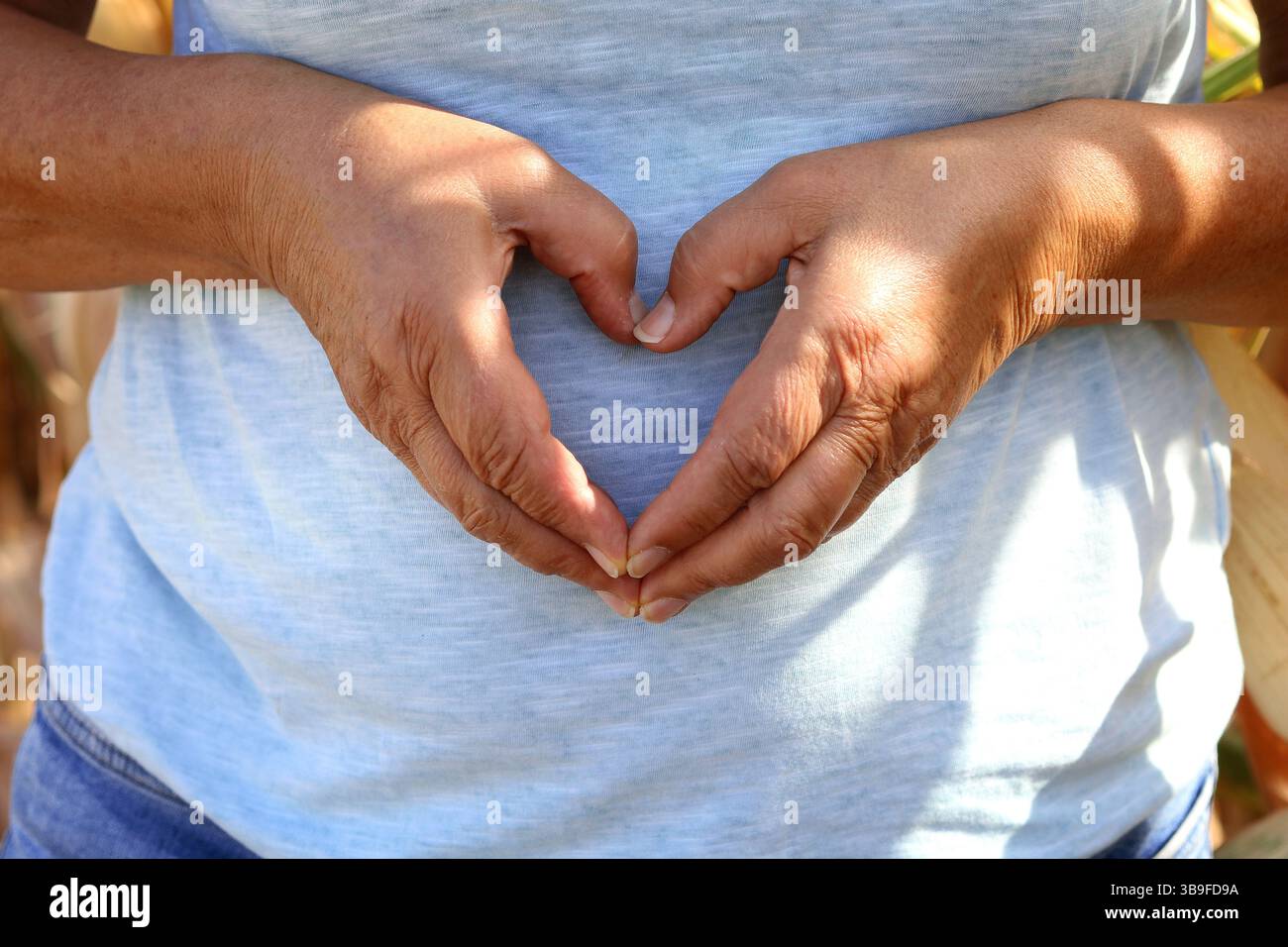 Hands in heart form hi-res stock photography and images - Alamy