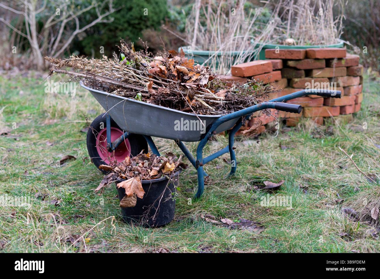 Wheelbarrow and bucket with biomass hi-res stock photography and images ...