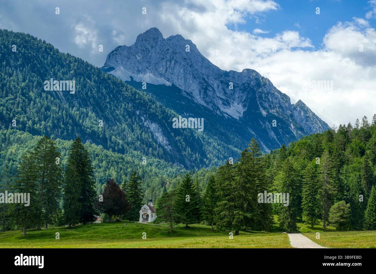 Alpine pasture at the Lautersee and view of the Wetterstein peaks near ...