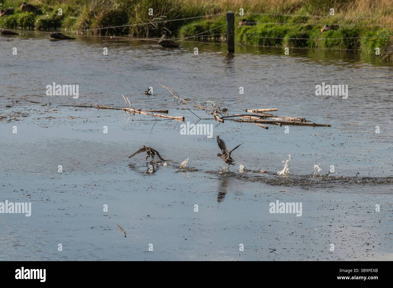 Dispute zone hi-res stock photography and images - Alamy