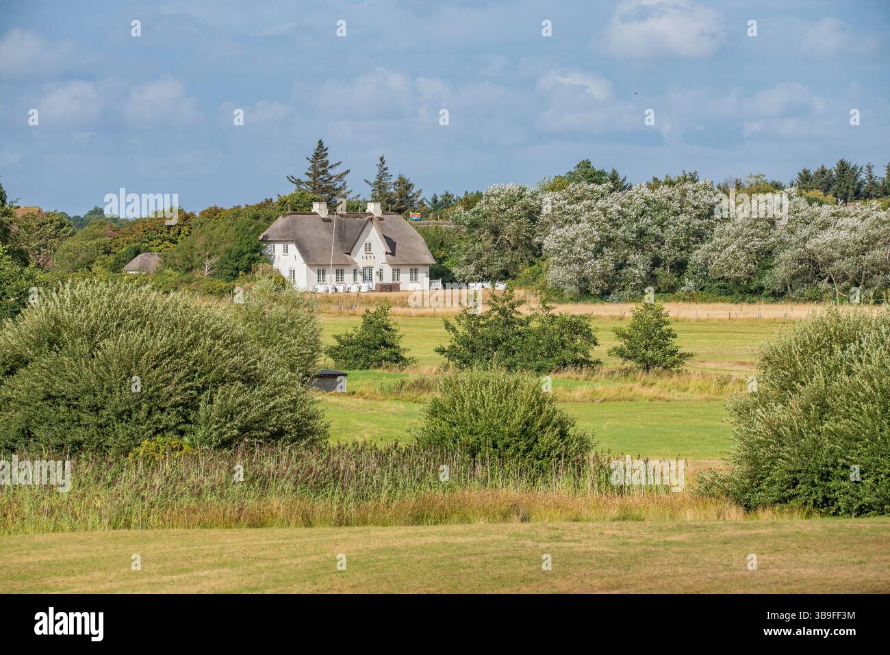Thatched house in a beautiful landscape Stock Photo - Alamy