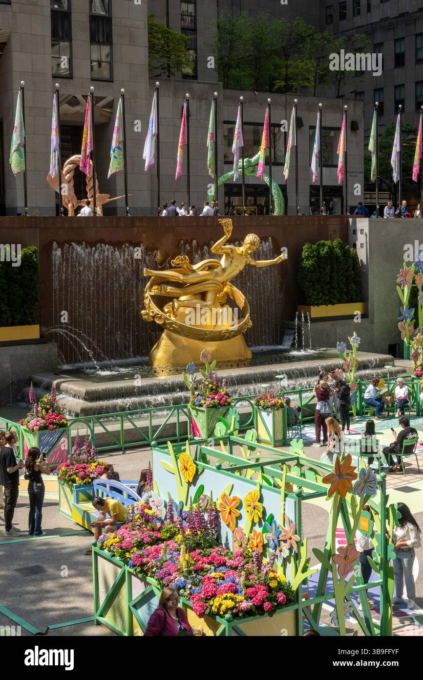 Spring is blooming at Rockefeller Center is a large scale French garden ...