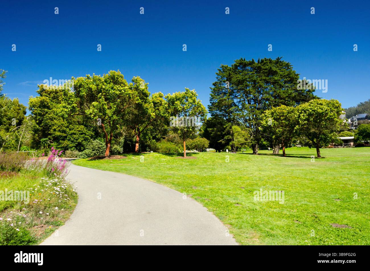 Path in Golden Gate Park San Francisco Stock Photo - Alamy