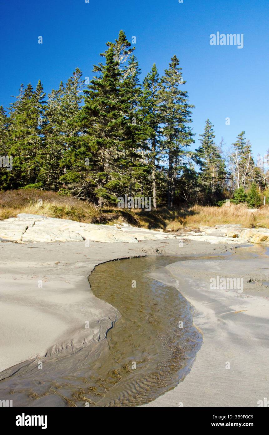 River course in Rissers Beach Provincial Park Stock Photo - Alamy