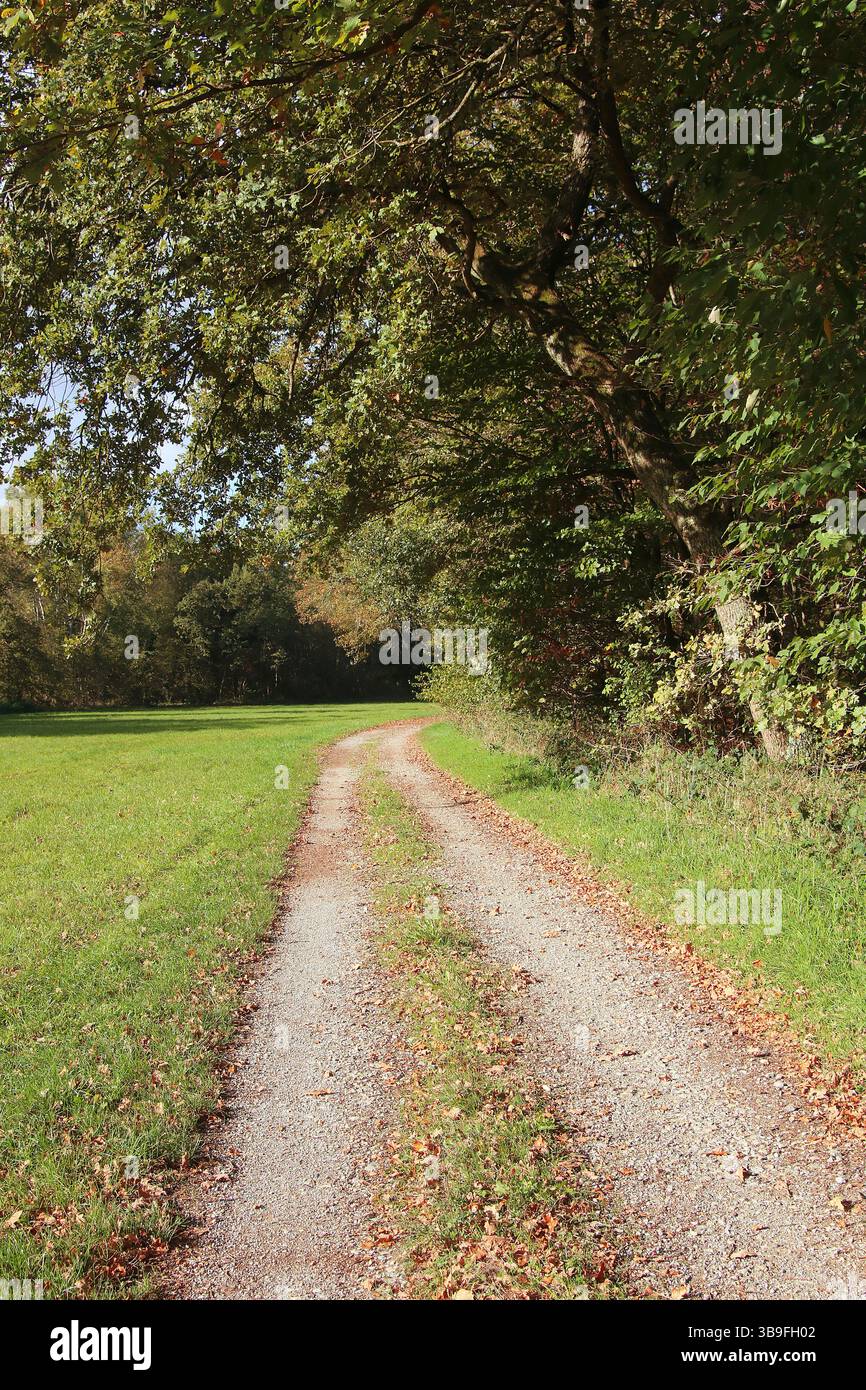 Walk through the park Stock Photo - Alamy
