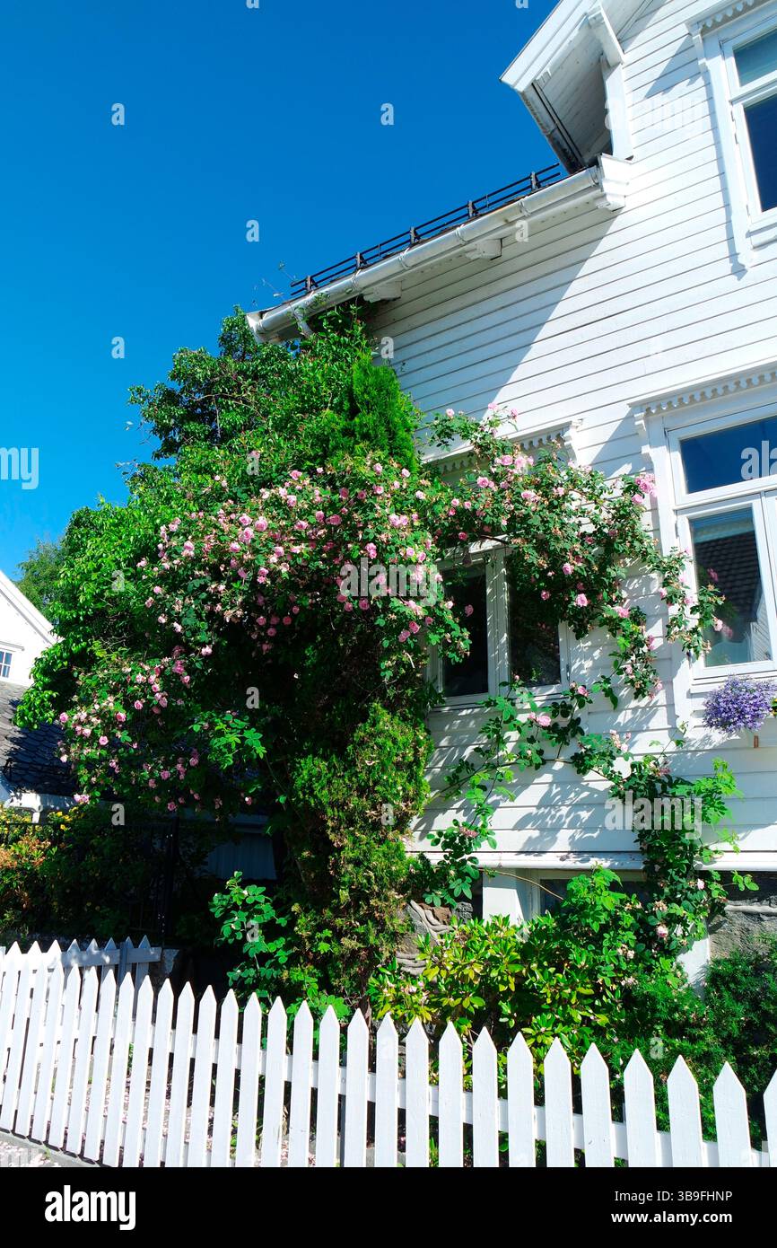 Summer idyll in Molde, Norway Stock Photo - Alamy