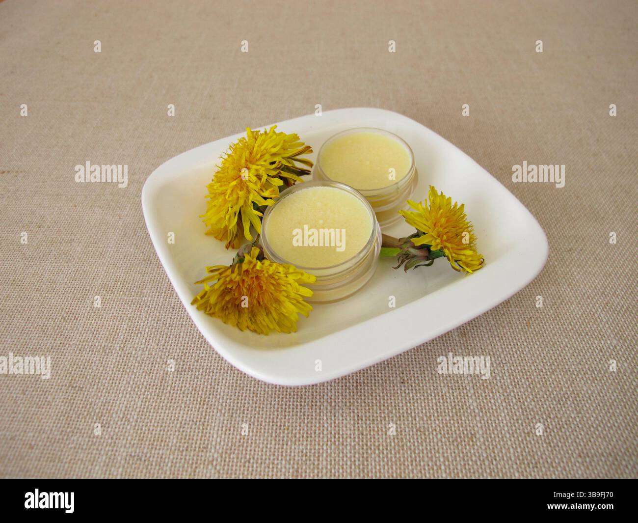 Homemade dandelion ointment, ointment with an oil extract from ...