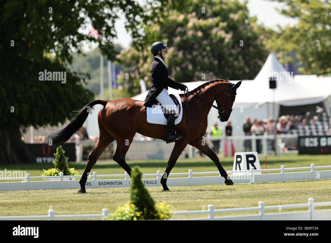 Harry Mutch of Great Britain with Shanbeg Cooley during the dressage at ...