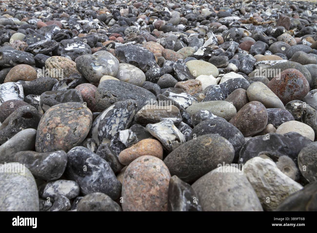 Chalk coast in Jasmund National Park, island of Rügen Stock Photo - Alamy