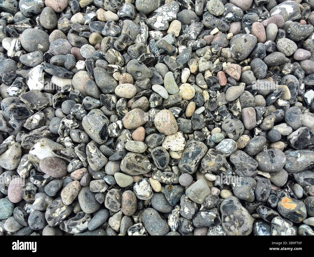 Chalk coast in Jasmund National Park, island of Rügen Stock Photo - Alamy