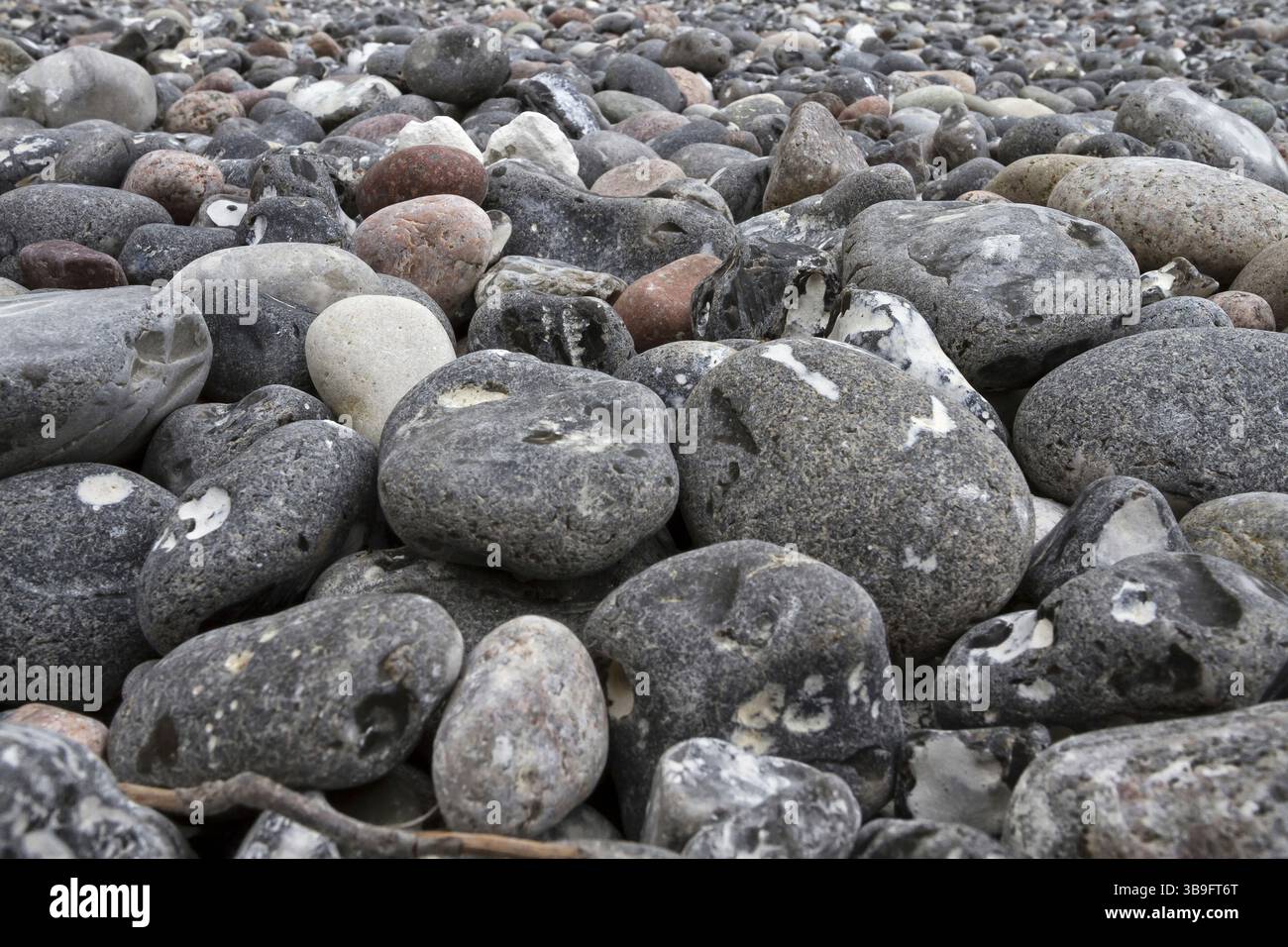 Chalk coast in Jasmund National Park, island of Rügen Stock Photo - Alamy