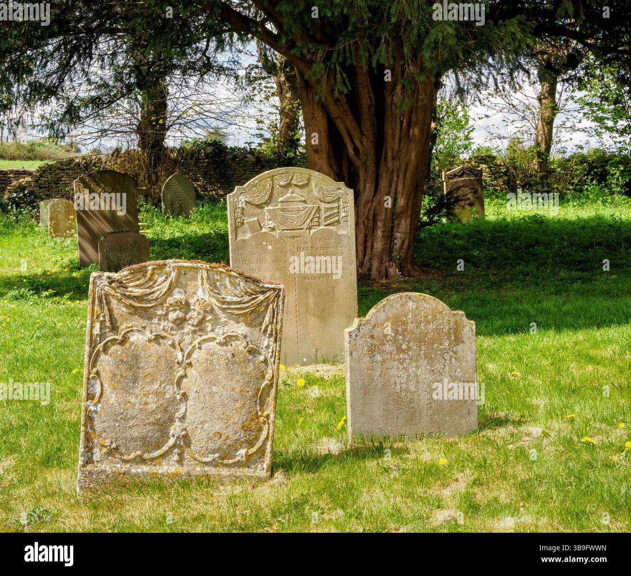 Gravestones under a yew tree in a Gloucestershire UK churchyard Stock ...