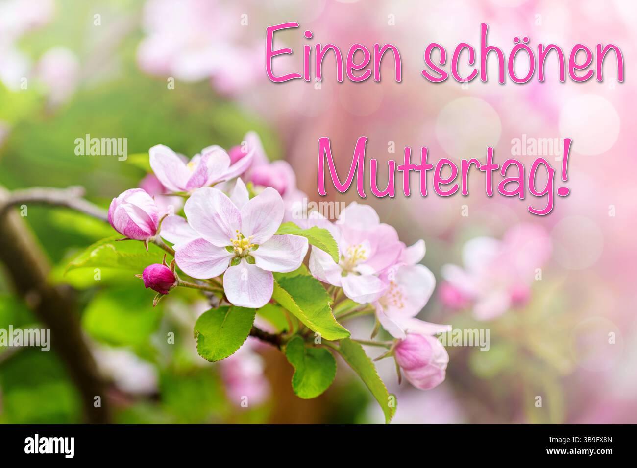 Germany - 9 May 2025: PHOTOMONTAGE, lettering: Have a nice Mother s Day ...