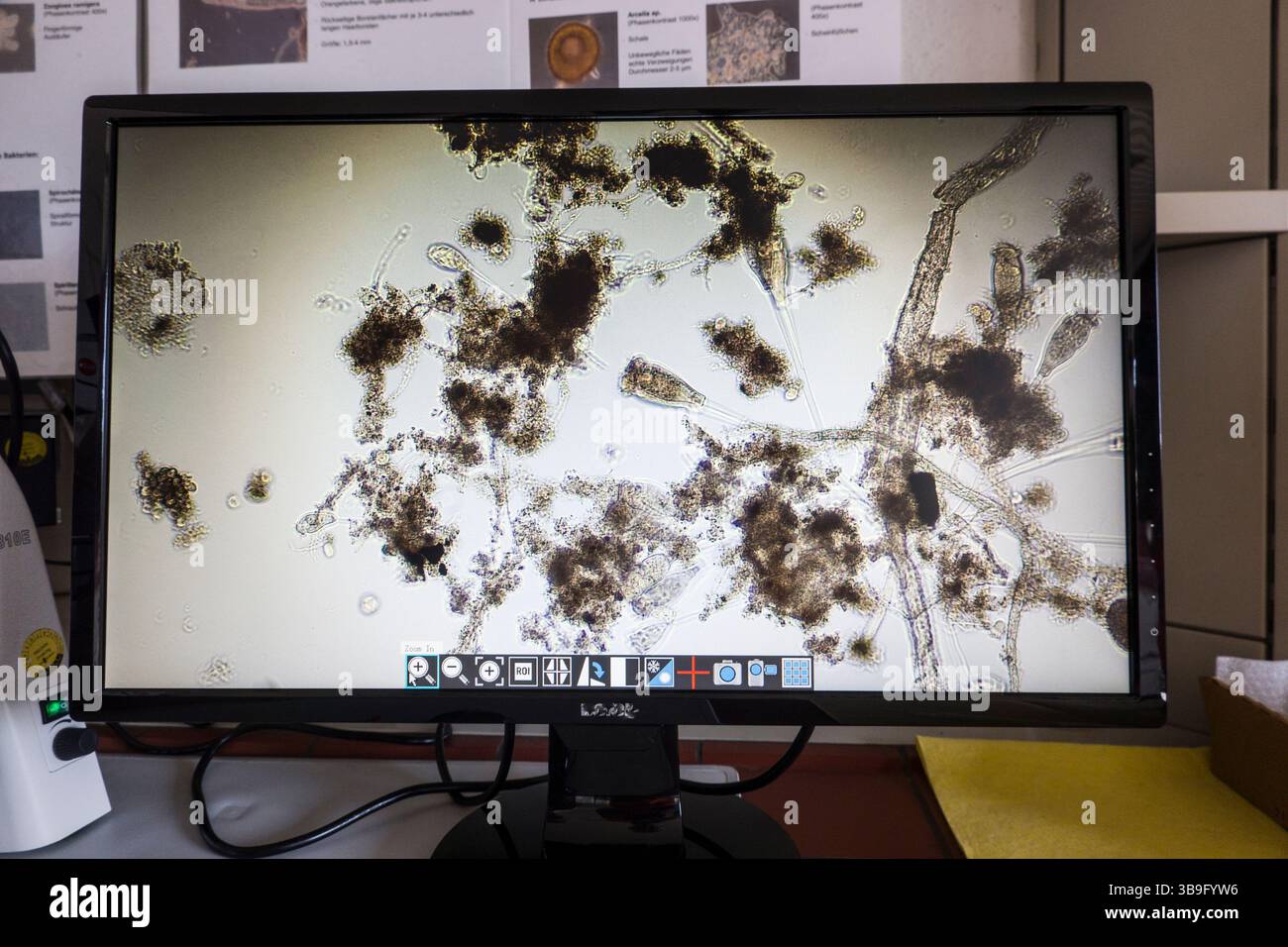 Conventional 3-stage wastewater treatment plant - water sample from the ...