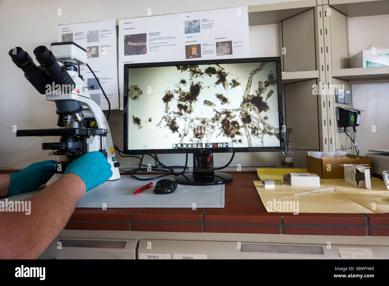 Conventional 3-stage wastewater treatment plant - water sample from the ...