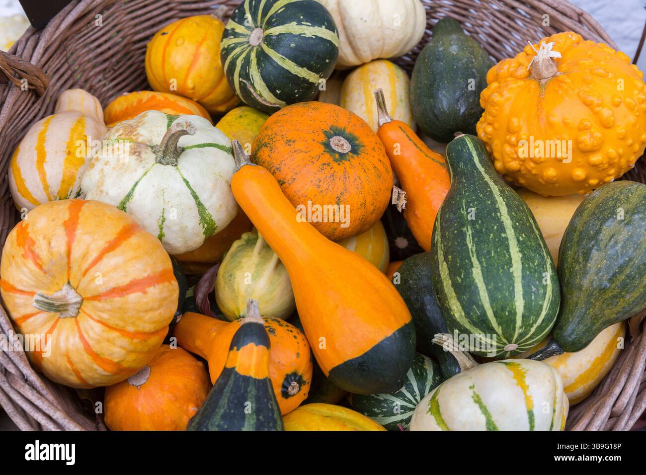 One pumpkins hi-res stock photography and images - Alamy