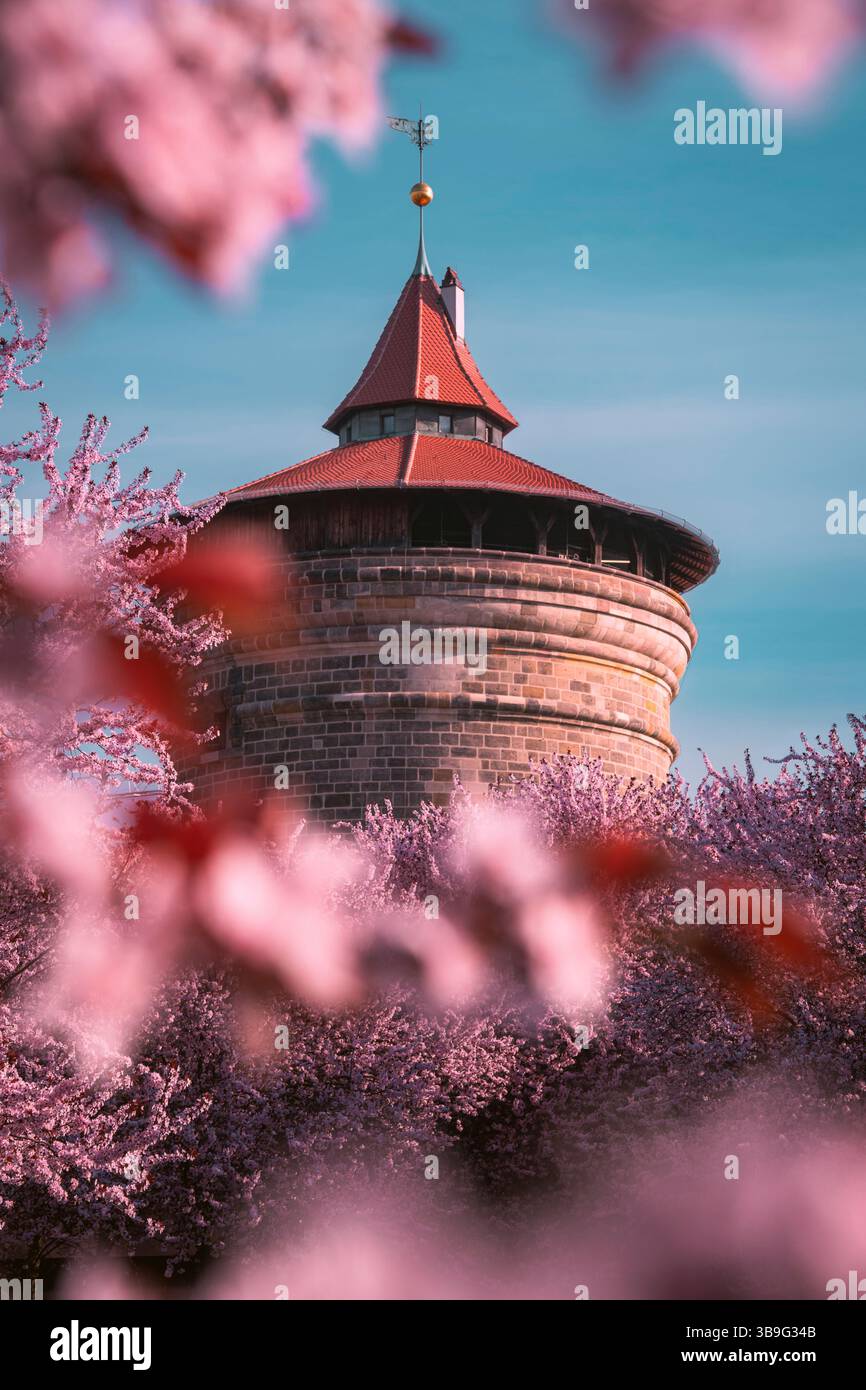 Lauf Gate Tower in Nuremberg during the cherry blossom in spring Stock ...