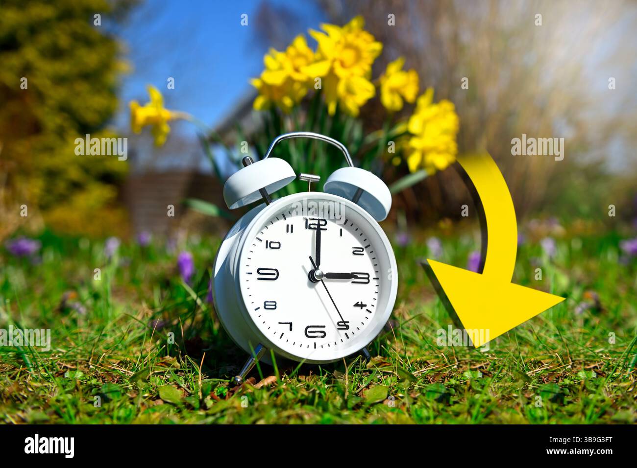 White alarm clock in front of spring flowers with clockwise arrow ...