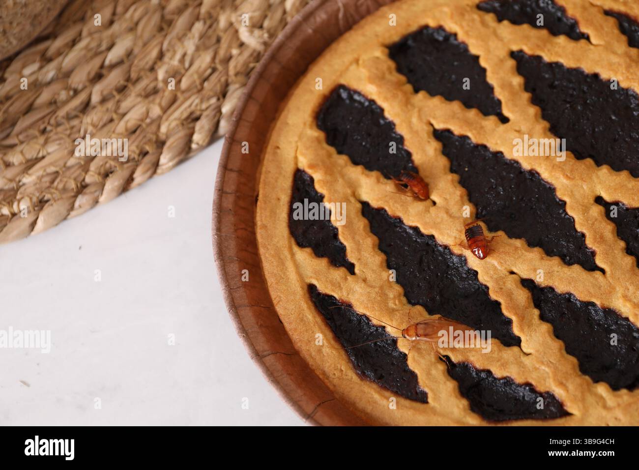 Cockroaches crawling on pie on light table, top view Stock Photo - Alamy