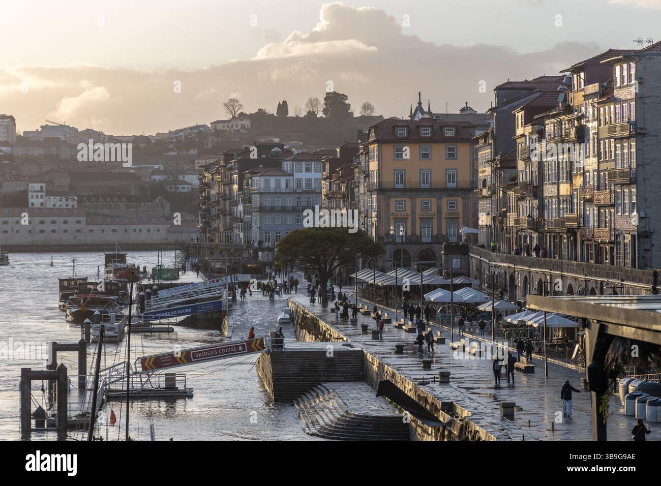 The northern promenade along the Douro River in Porto in golden light ...