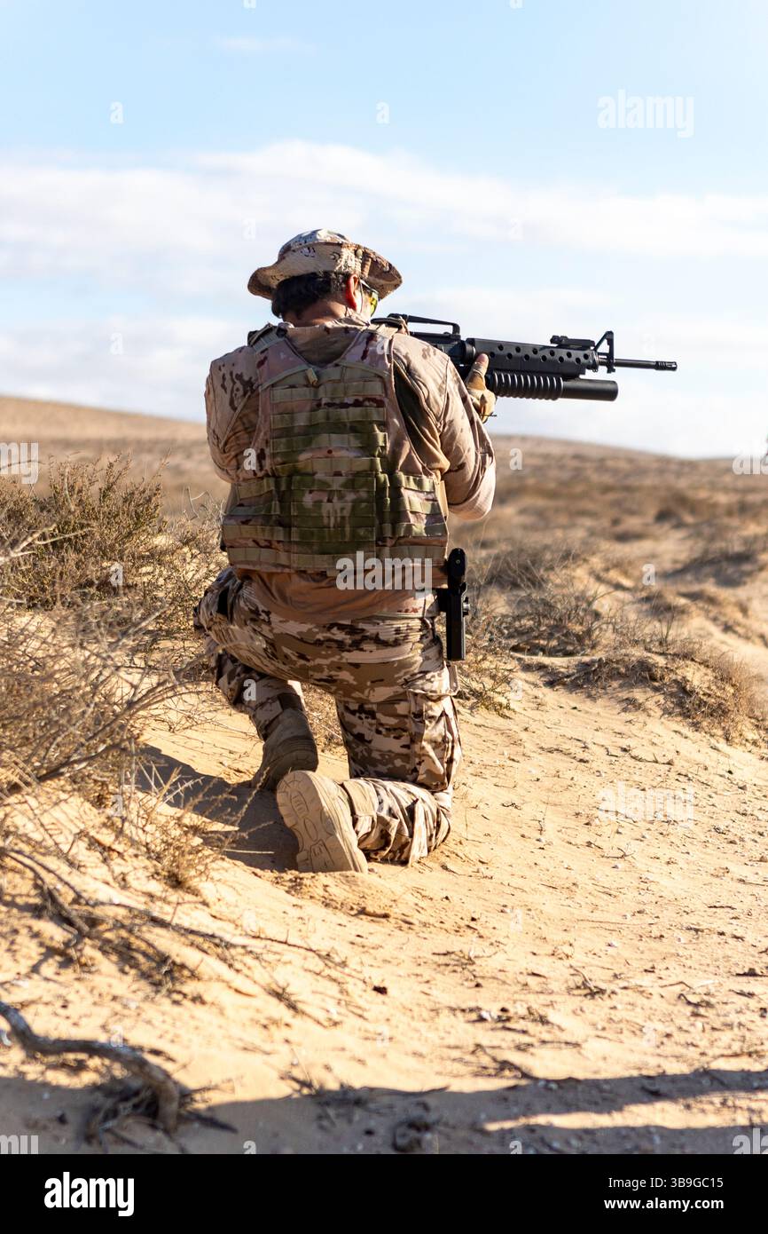 Soldier in full desert camouflage gear kneeling with firearm, ready for ...