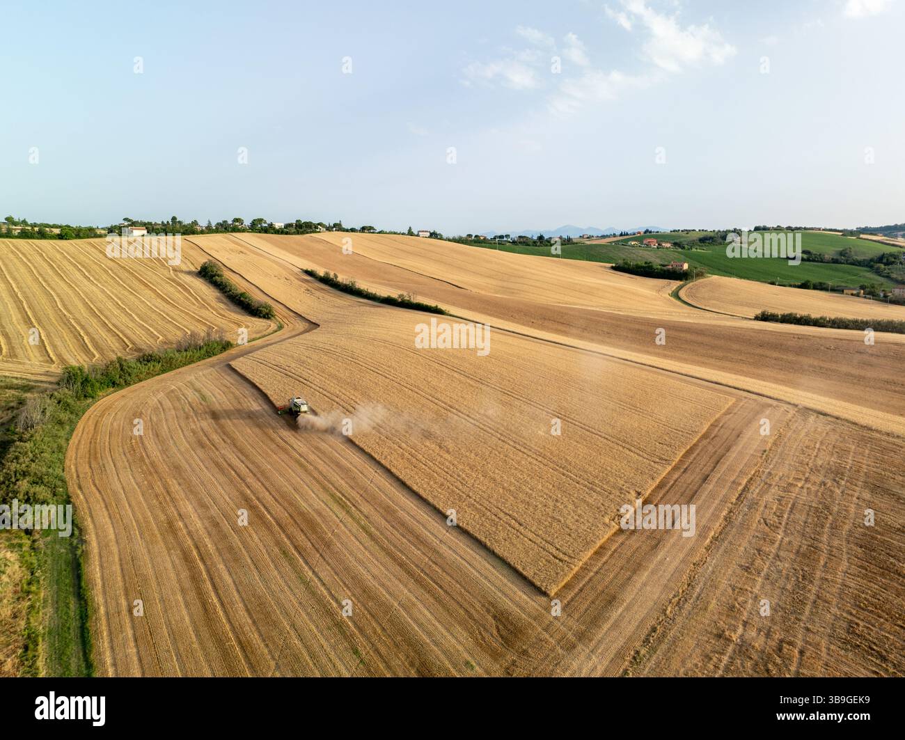 Aerial view of golden wheat fields in Macerata, Italy, during harvest ...