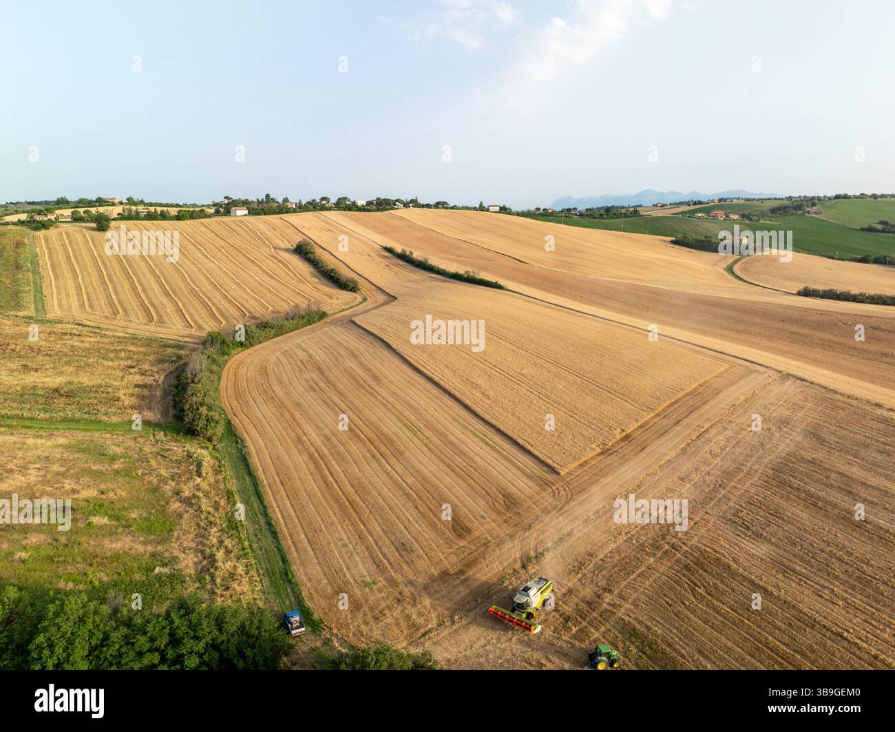 Aerial view of golden wheat fields in Macerata, Italy, with a combine ...