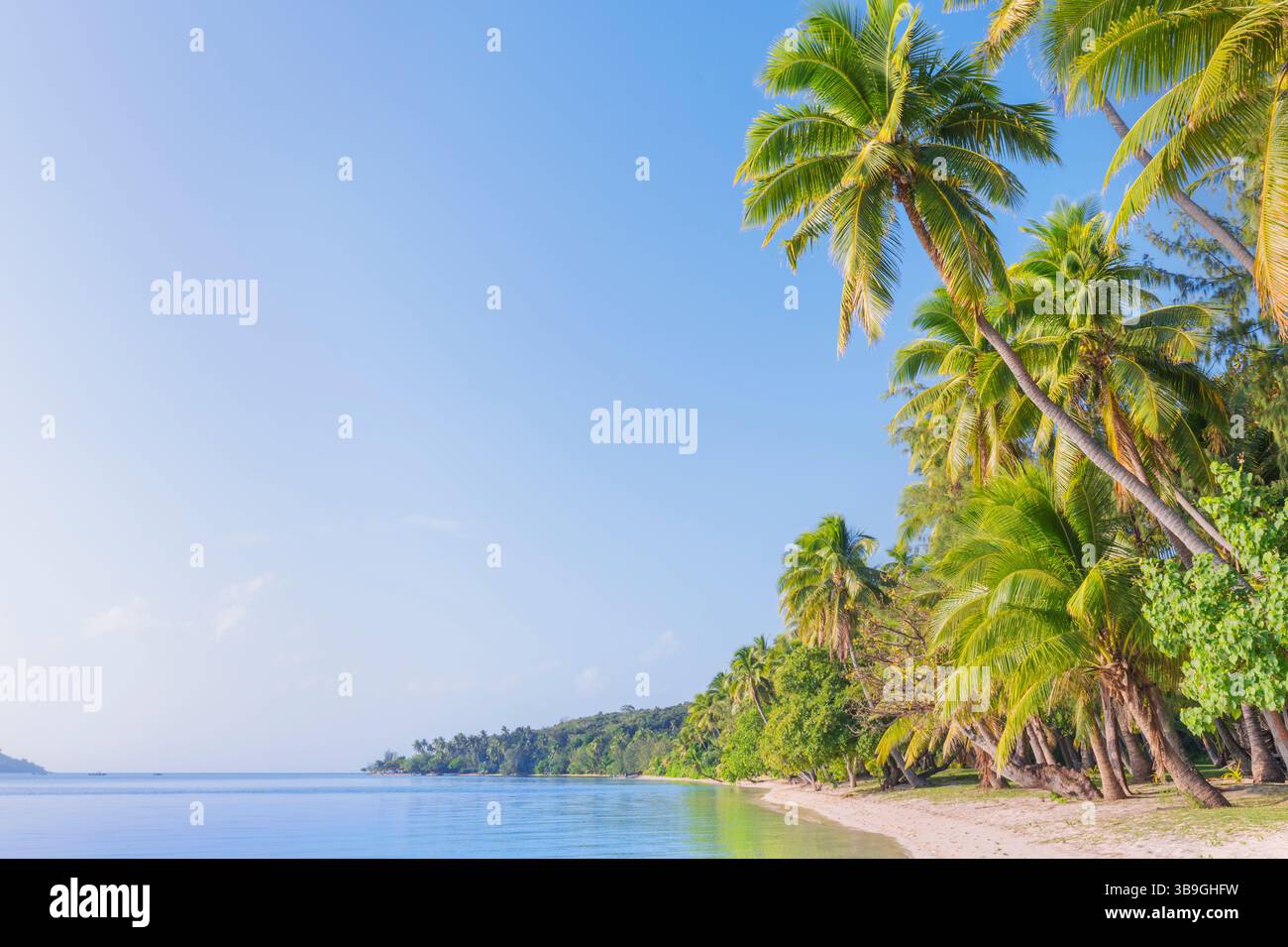 Tropical beach, Nanuya Lailai Island, Yasawa islands, Fiji Stock Photo ...
