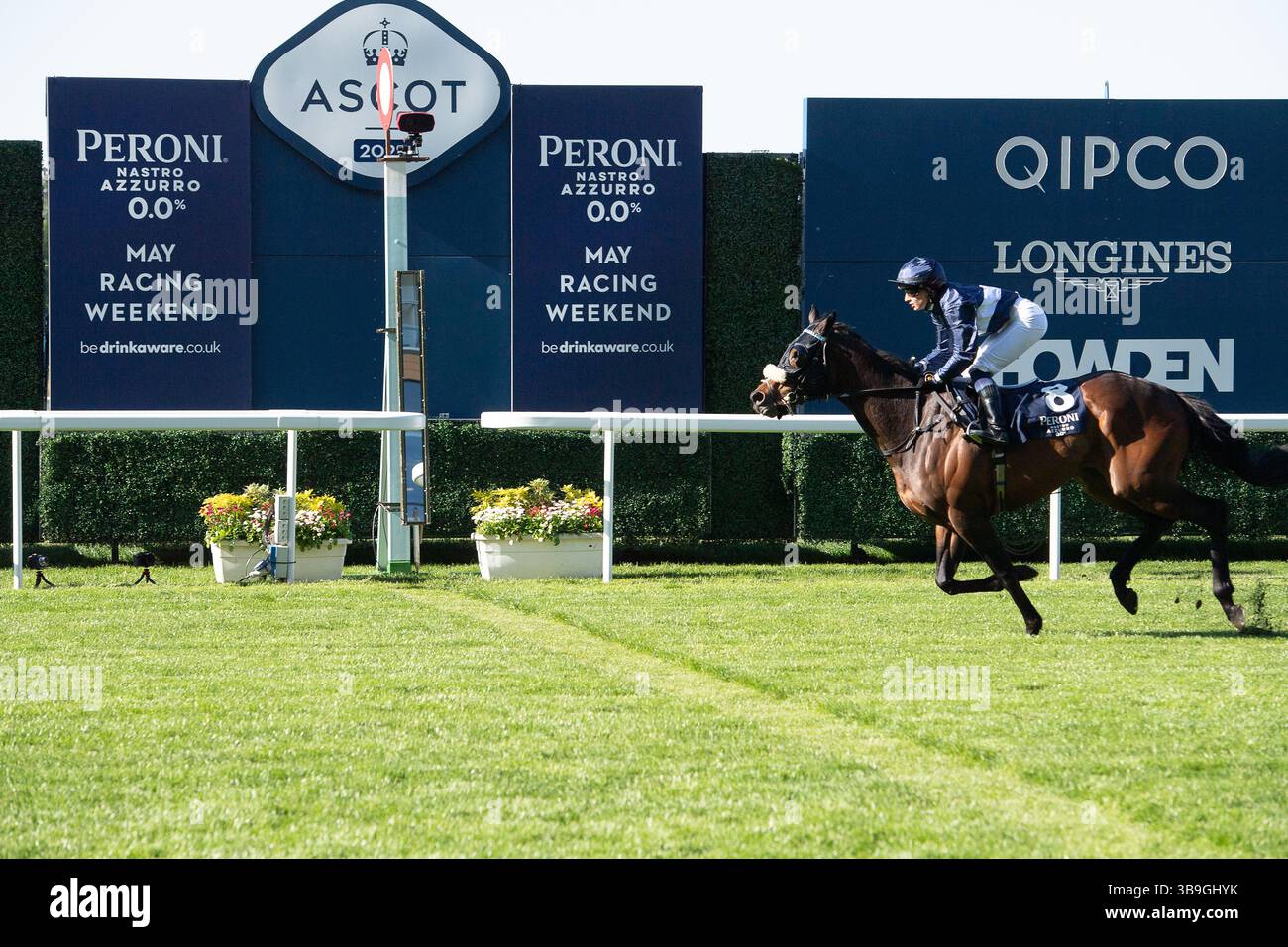 Paul cole race horse trainer hi-res stock photography and images - Alamy