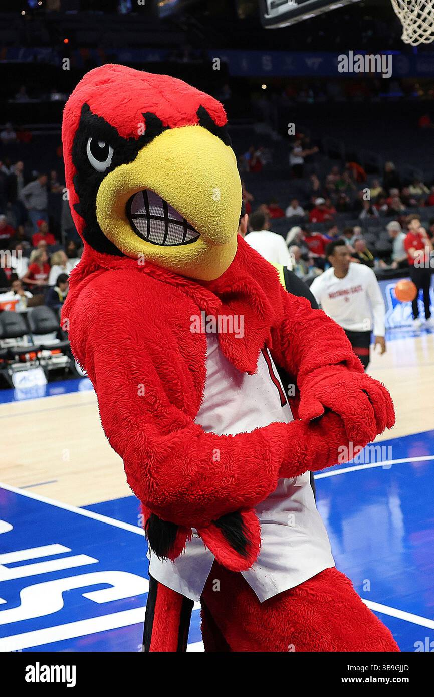 CHARLOTTE, NC - MARCH 13: Louisville mascot during the ACC Men's ...