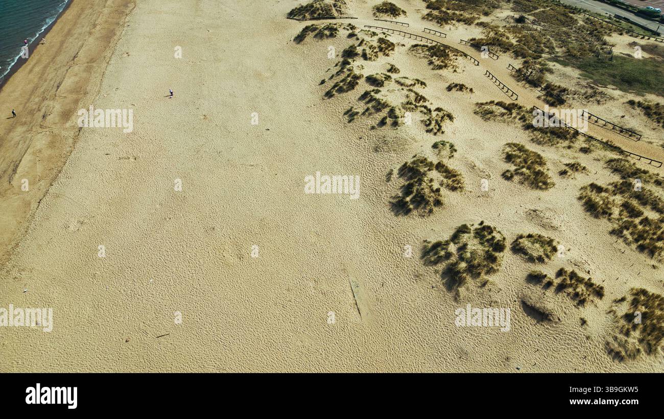 Aerial view of a beach with sand dunes, sparse vegetation, and a ...