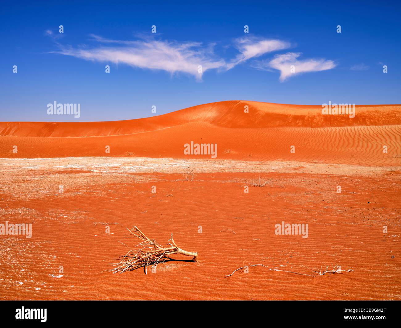 On the road in the Rub al Khali in Oman Stock Photo - Alamy