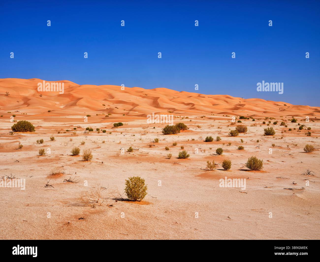 On the road in the Rub al Khali in Oman Stock Photo - Alamy