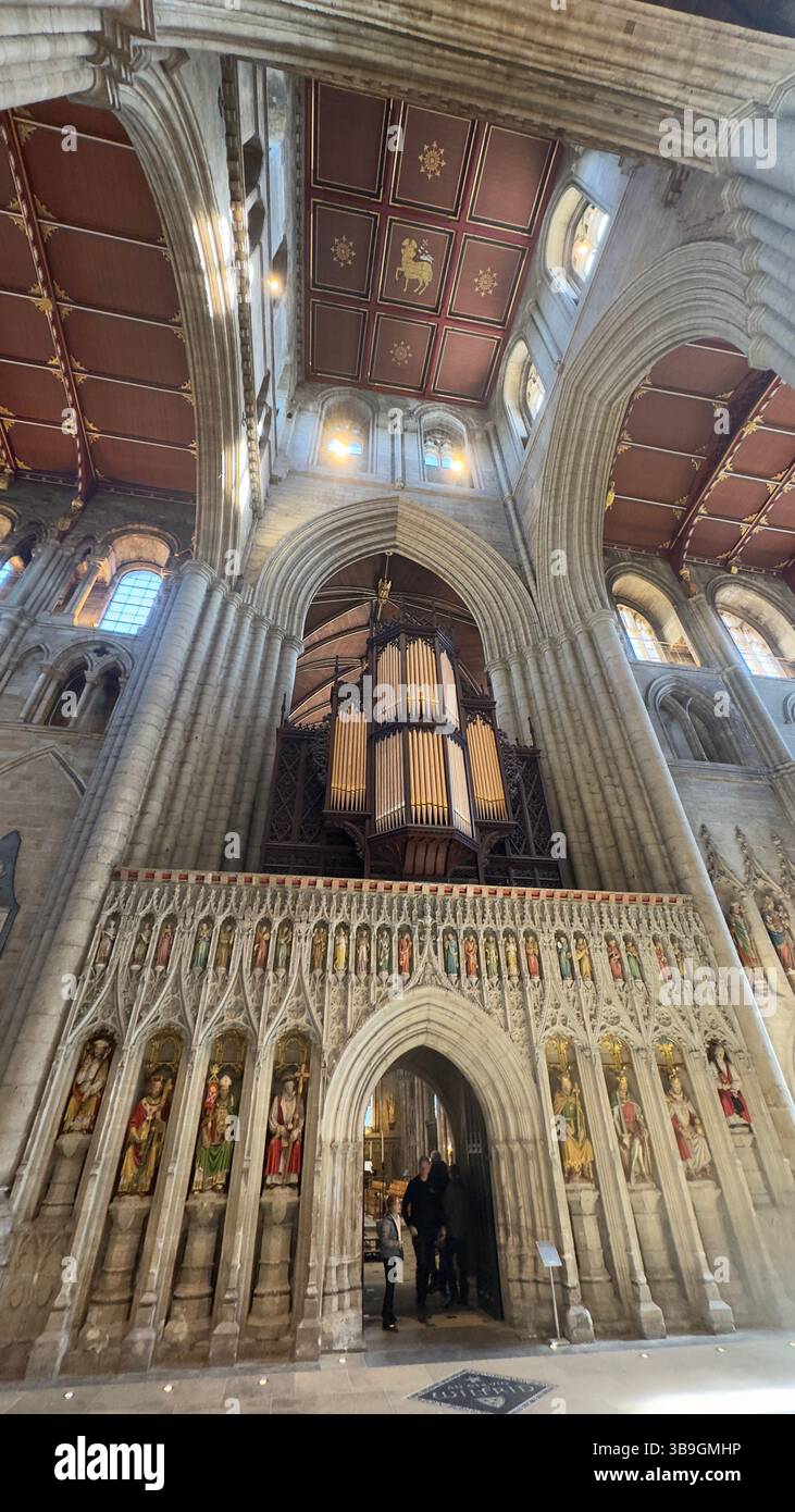 Interior view of a cathedral, showcasing a large pipe organ above an ...