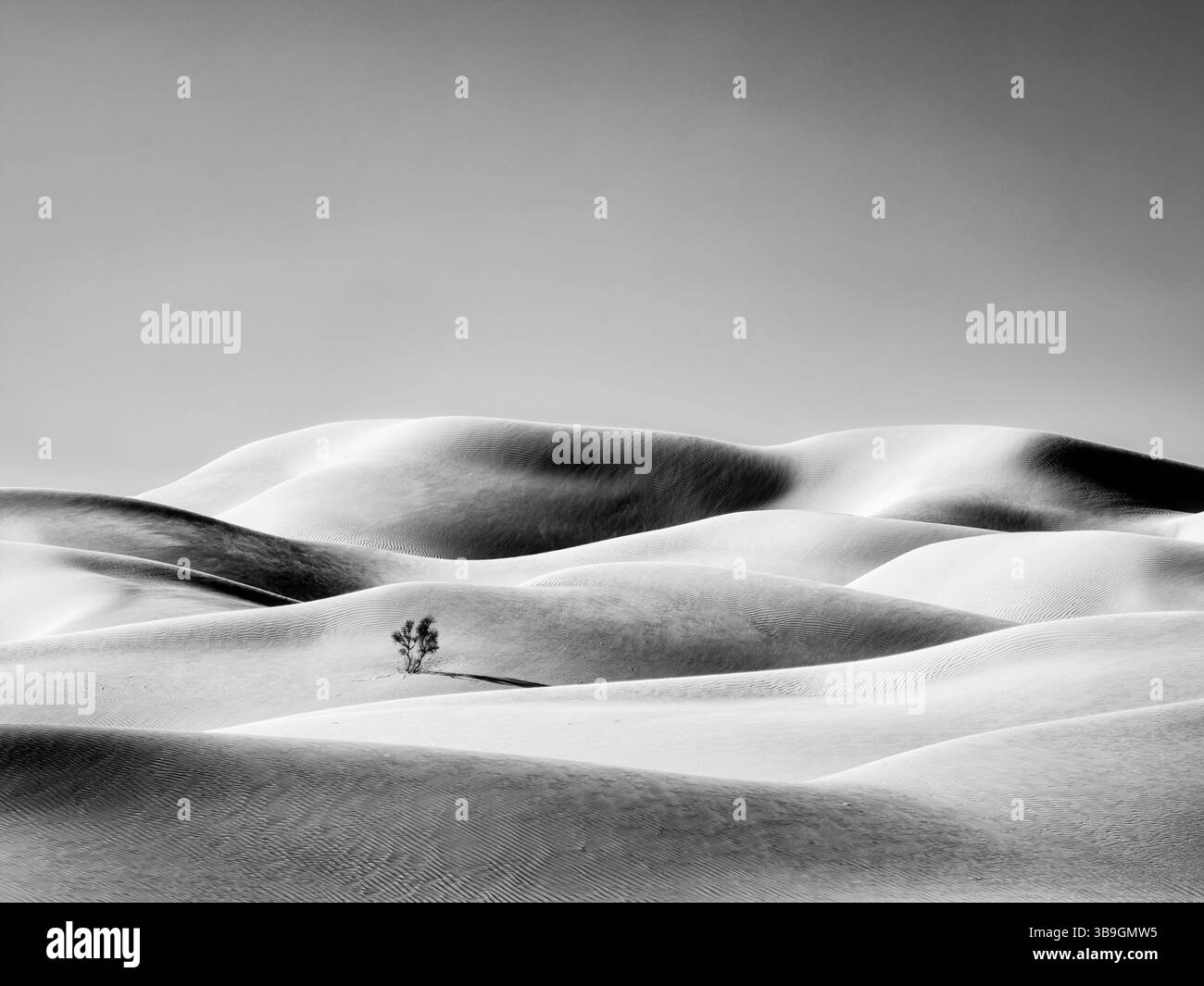 On the road in the Rub al Khali in Oman Stock Photo - Alamy
