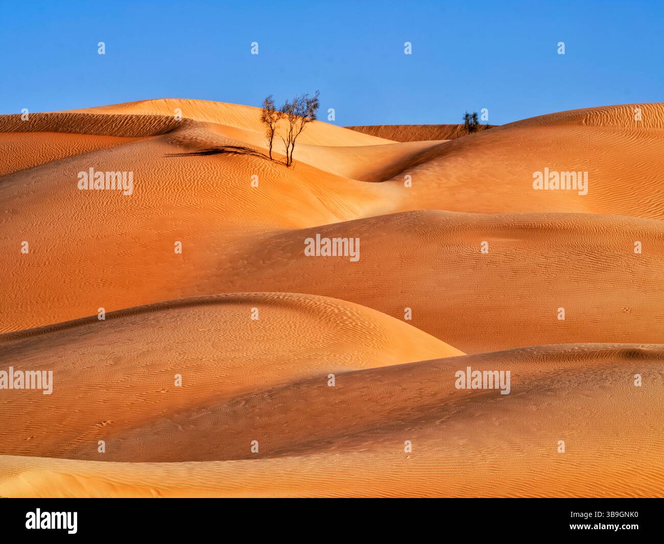 On the road in the Rub al Khali in Oman Stock Photo - Alamy