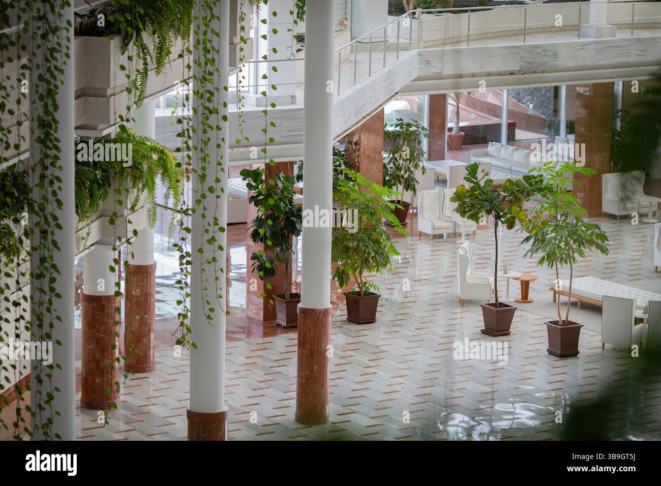 Large indoor plant pots hi-res stock photography and images - Alamy