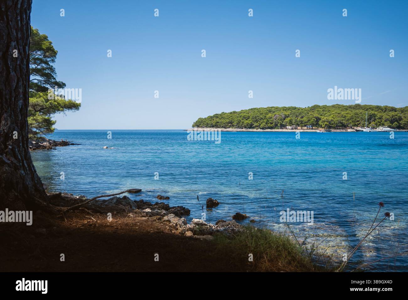 Mali Losinj, Croatia-July 25th, 2024: Beautiful, secluded Cikat bay at ...